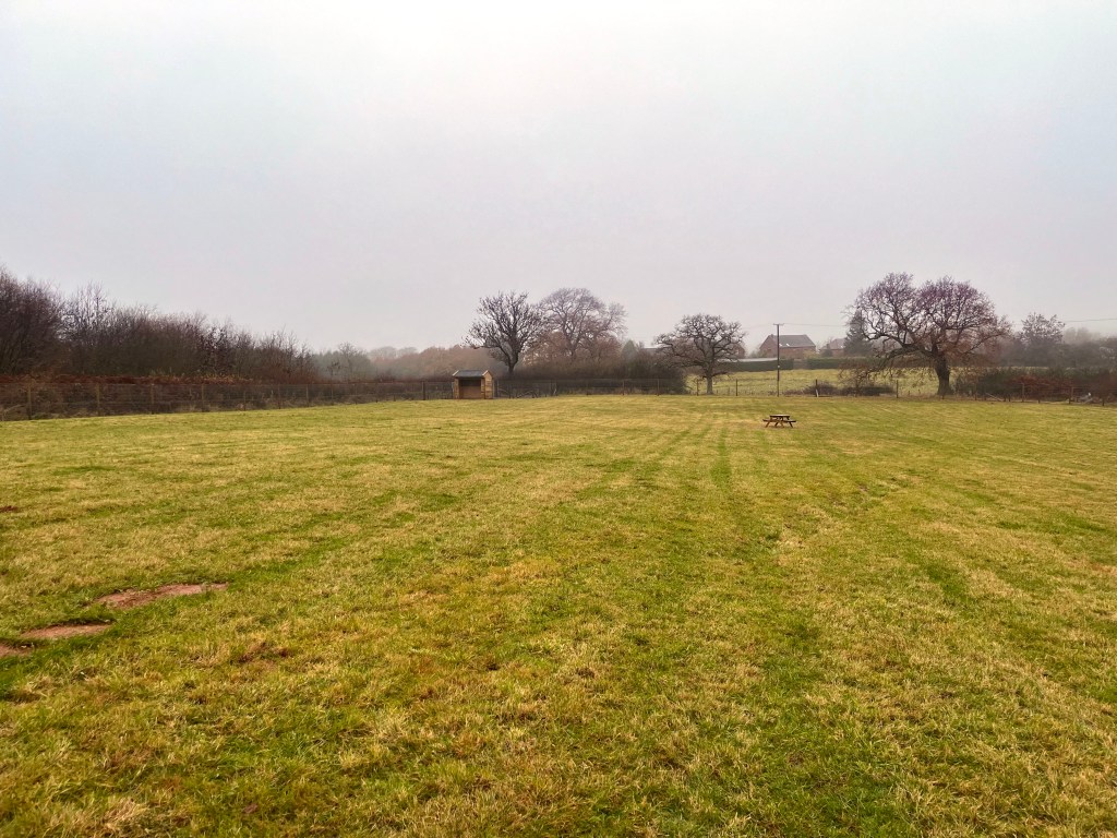 Hagley Park Secure Dog Field