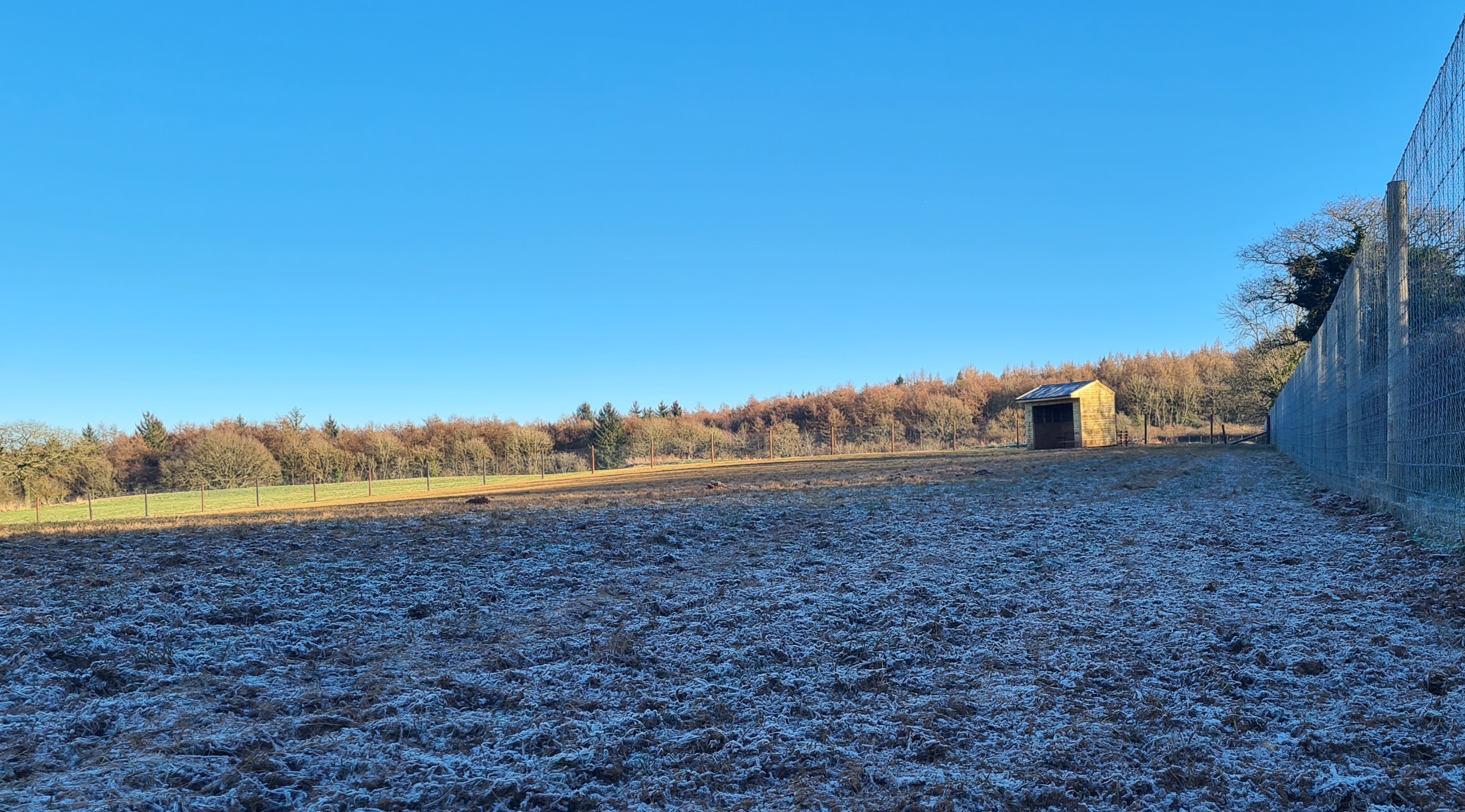 20240118_135115 – Hagley Park Secure Dog Field
